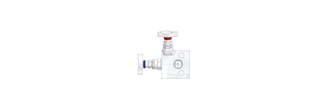 Valve Manifolds W2L Type