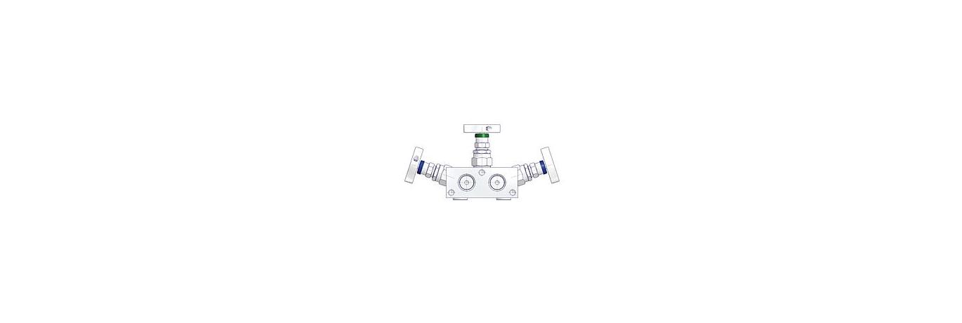 Valve Manifolds E3A Type